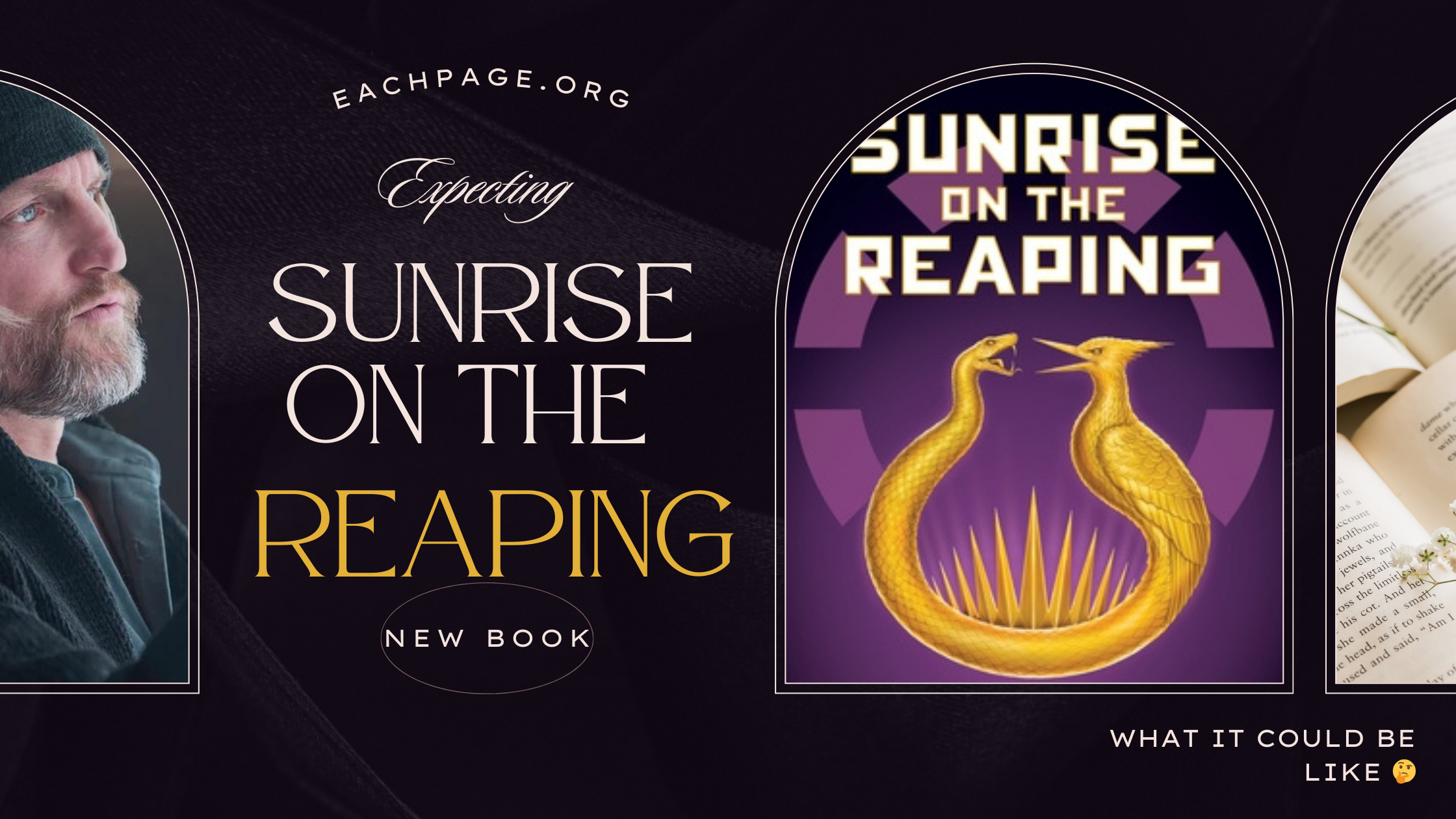 What Sunrise on the Reaping could be like – EachPage